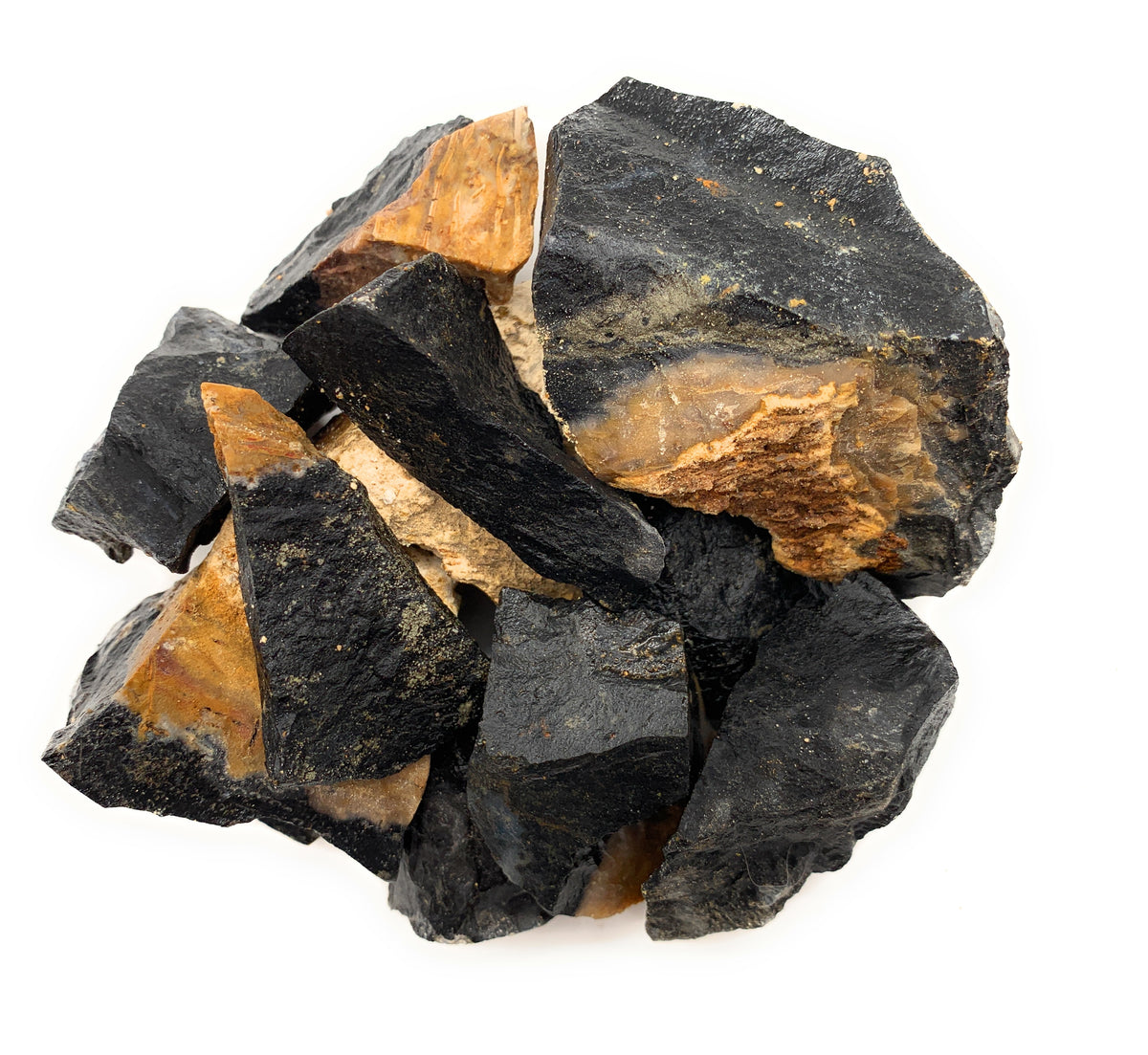 Fossil Palm Root Rough Stones from Indonesia – Hypnotic Gems